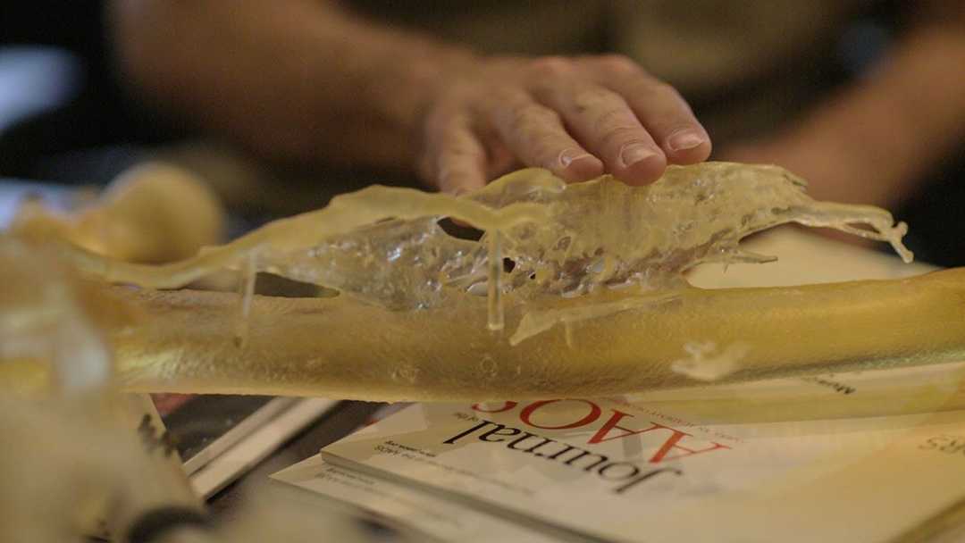 Jonathan Forsberg | Medicine + the Military